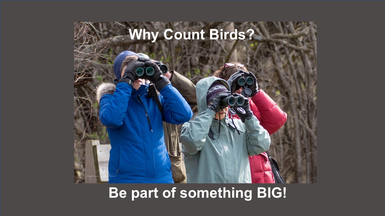 10/26 Training - Audubon Bird Count